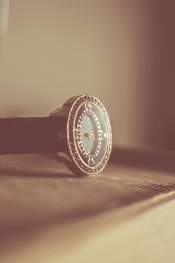Ice Star Watches | London Quartz Water Resistant Men's Watch